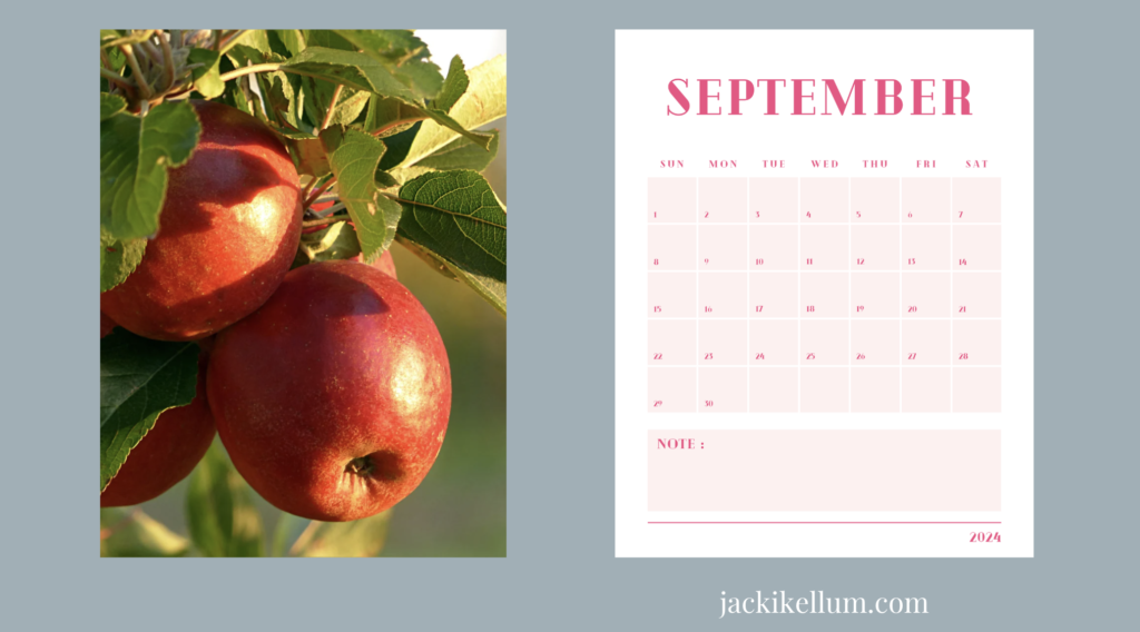 Free Printable 8.5″ x 11″ Garden Journal Pages & 2024 Calendar – Jacki ...