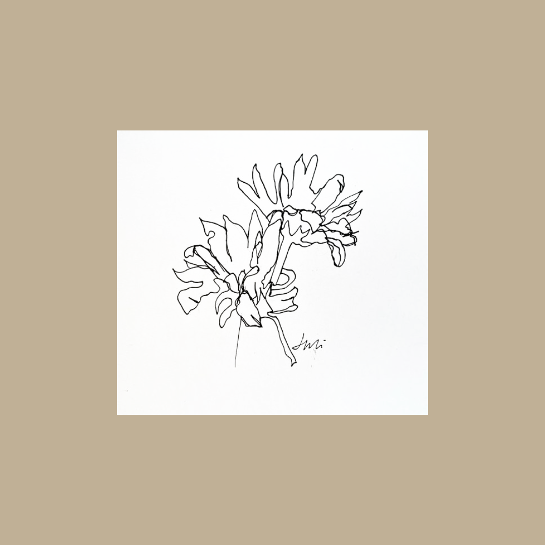 A Drawing a Day – A Way to Meditate & Learn to Draw – Jacki Kellum