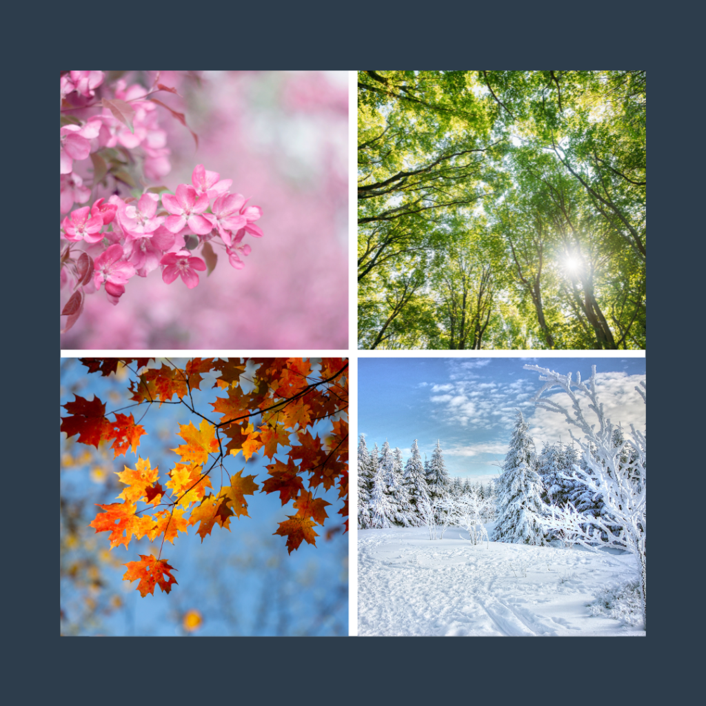 What are Equinoxes and Solstices? Ways We Mark the Seasons - Jacki Kellum
