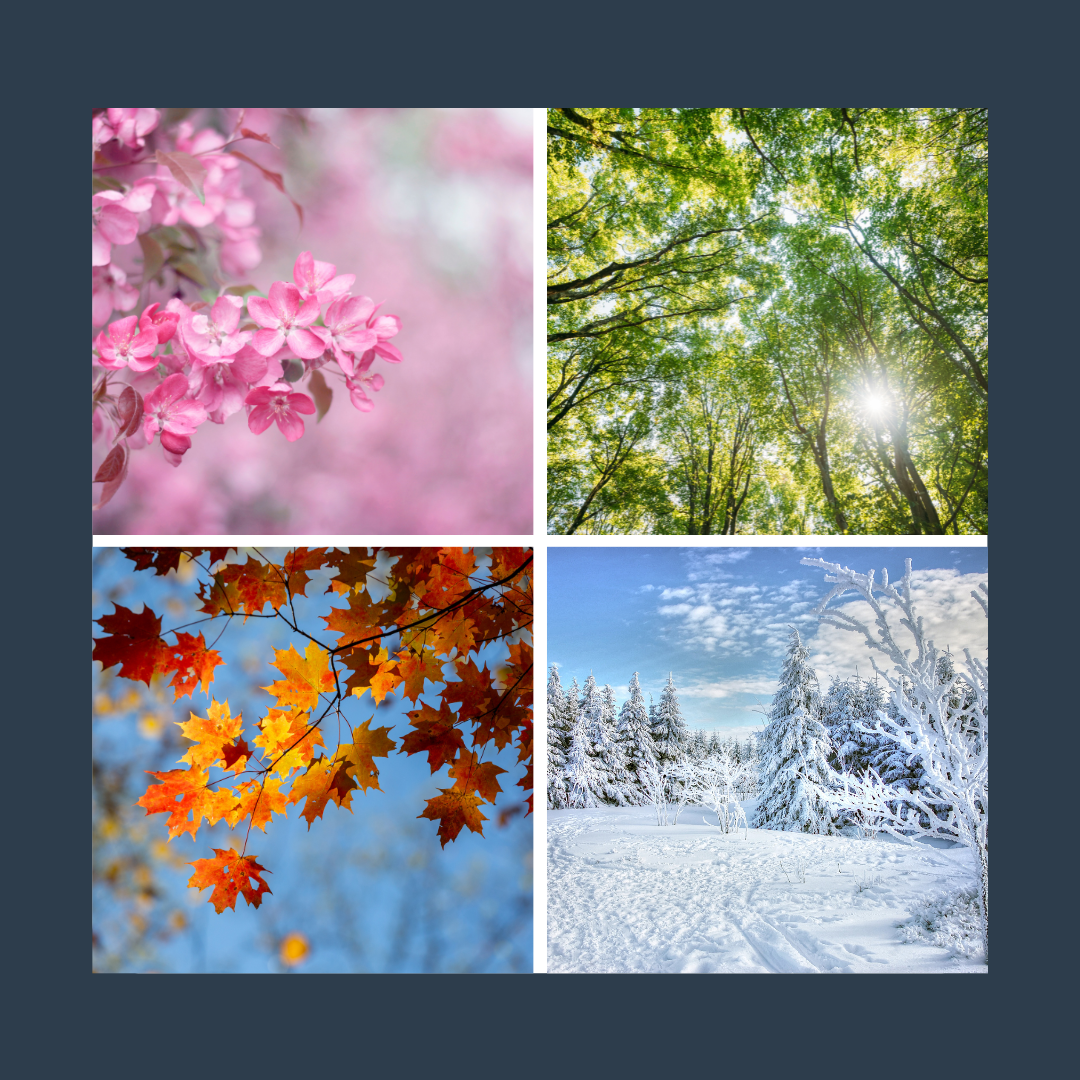 What are Equinoxes and Solstices? Ways We Mark the Seasons - Jacki Kellum