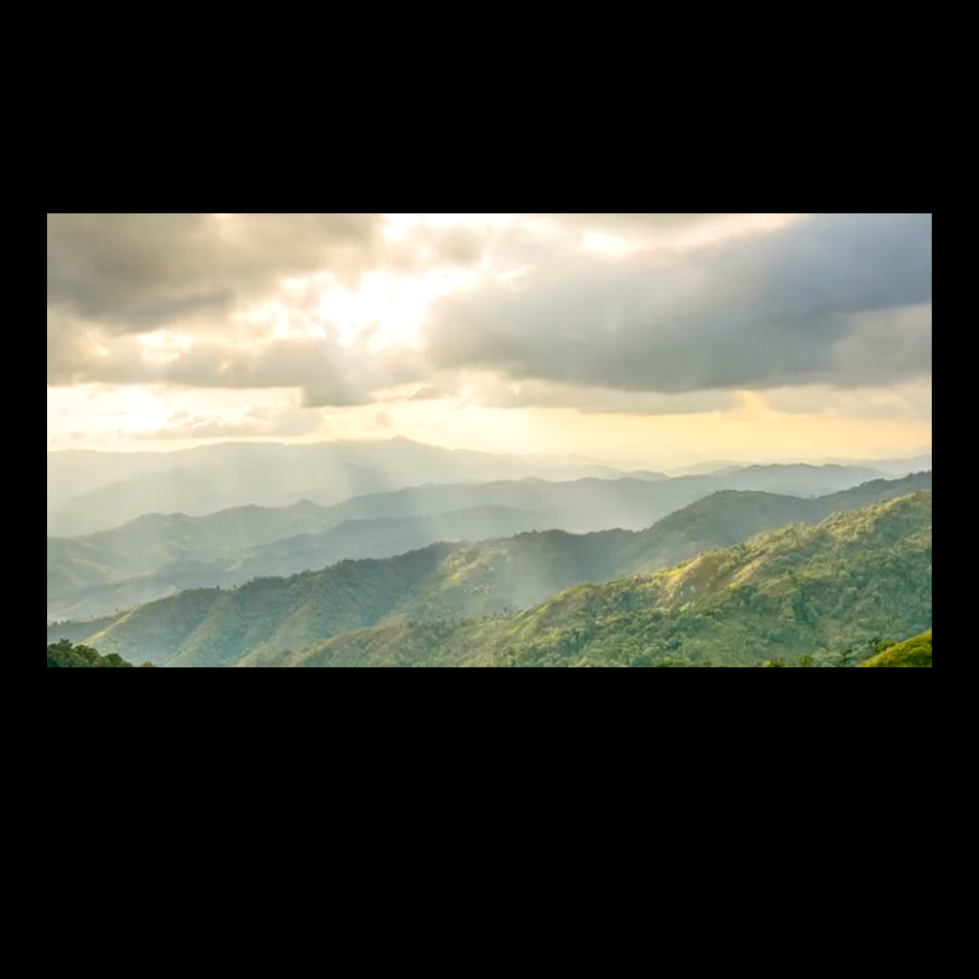 God Is Light: He Feeds & Waters the World - from Psalm 104 - Jacki Kellum